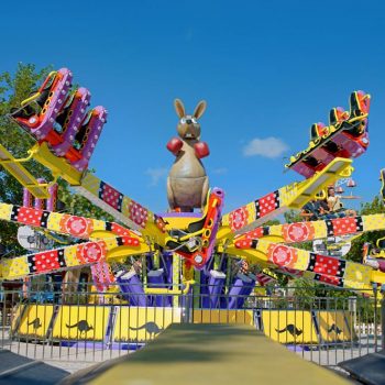 Family Rides - Technical Park - Amusement Rides and amusement rides for ...